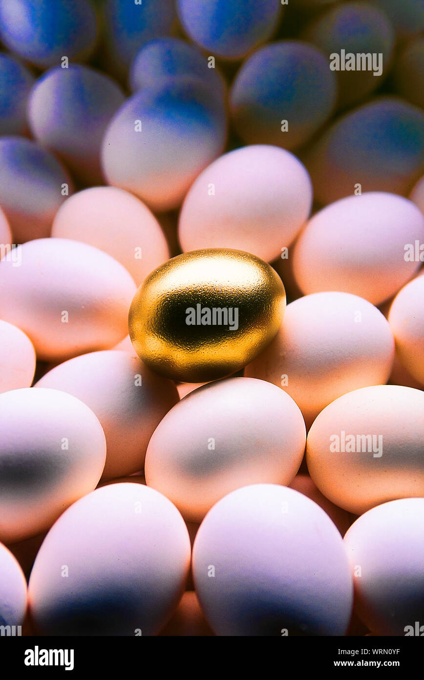 Golden egg on a field of normal white eggs Stock Photo - Alamy