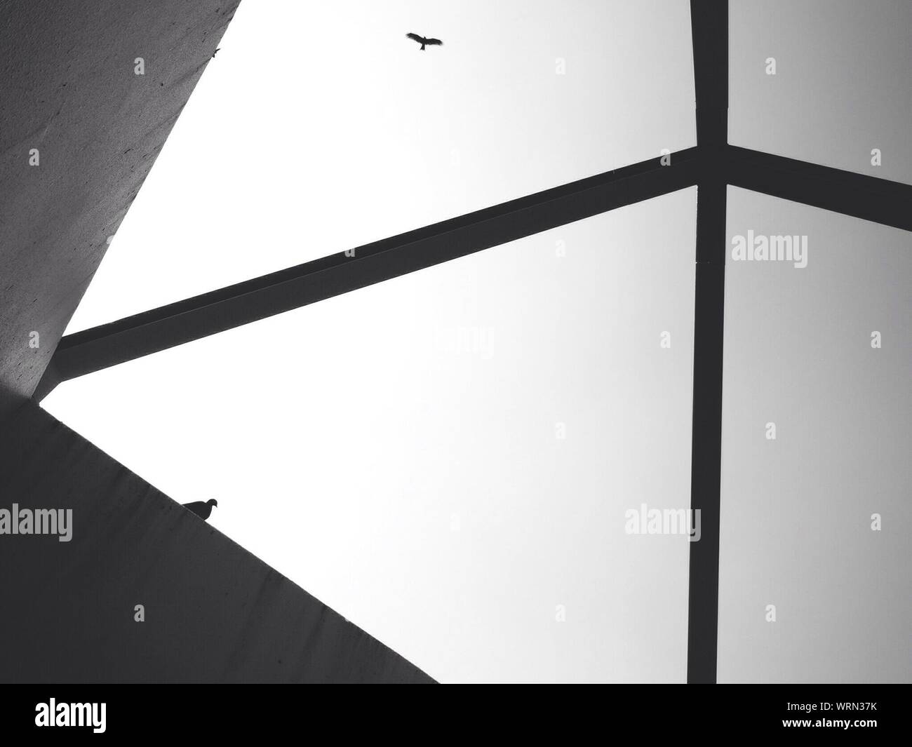 Seen Through Skylight High Resolution Stock Photography and Images - Alamy
