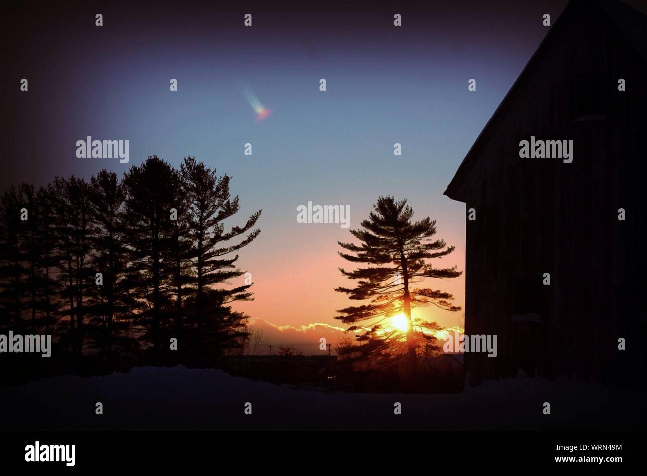 Setting sun tree hi-res stock photography and images - Alamy