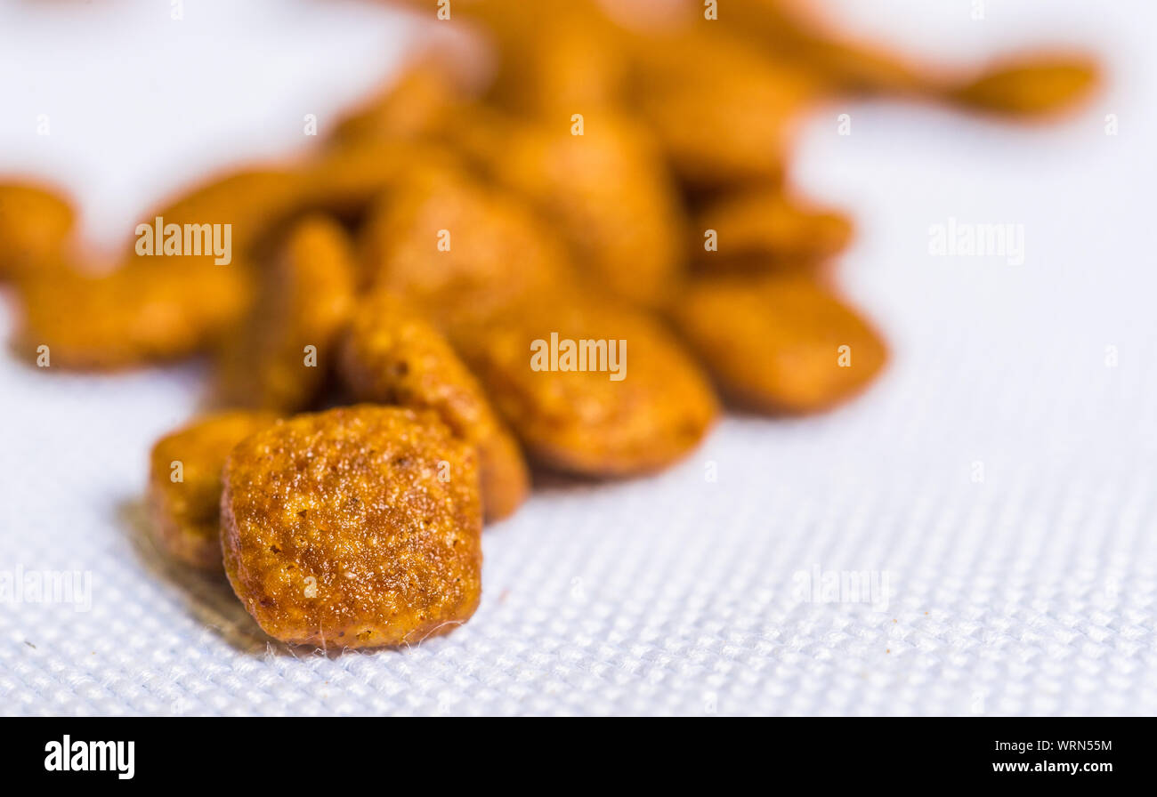 Pet food photography hi-res stock photography and images - Alamy