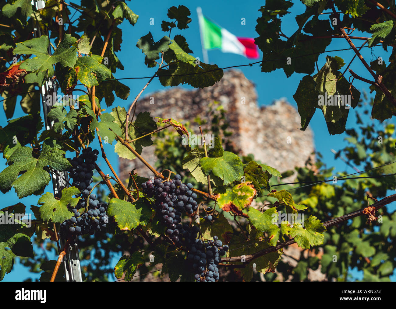 Gattinara High Resolution Stock Photography and Images - Alamy