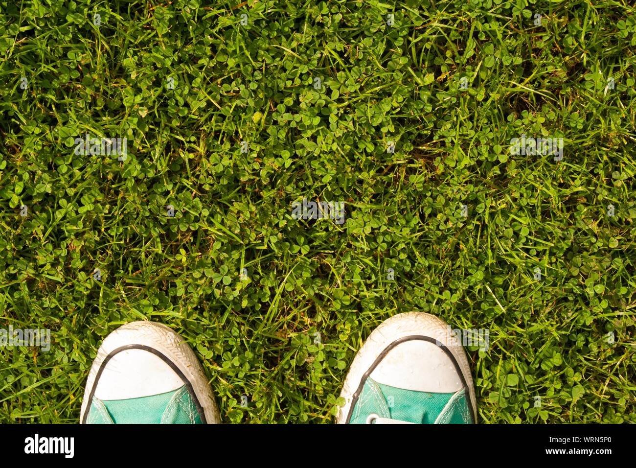Feet elevated hi-res stock photography and images - Alamy