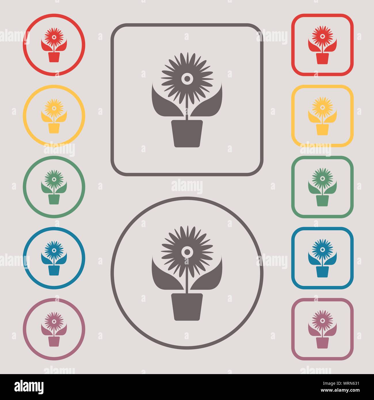 Flowers in pot icon sign. Symbols on the Round and square buttons with ...