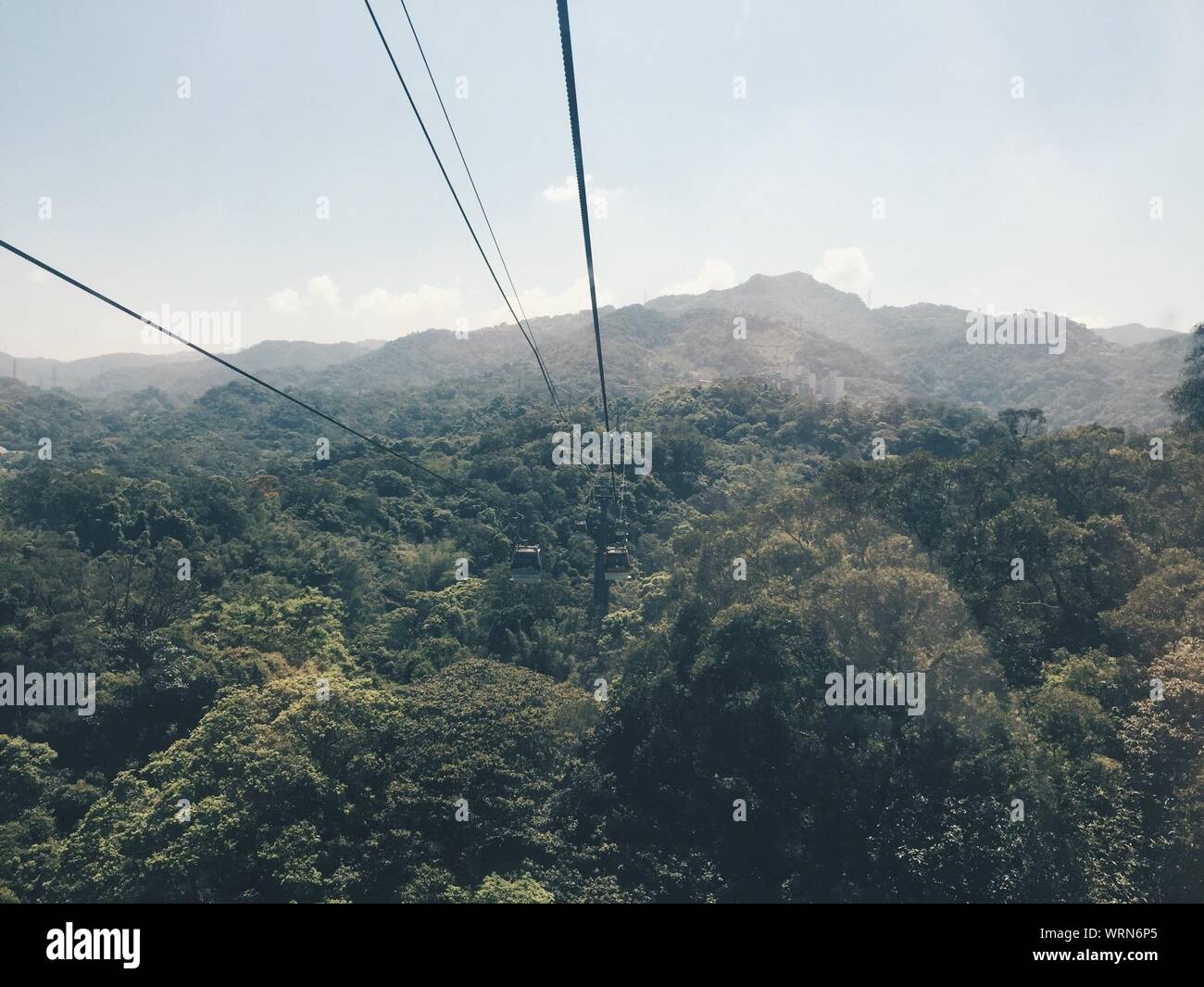 Overhead forest hi-res stock photography and images - Alamy