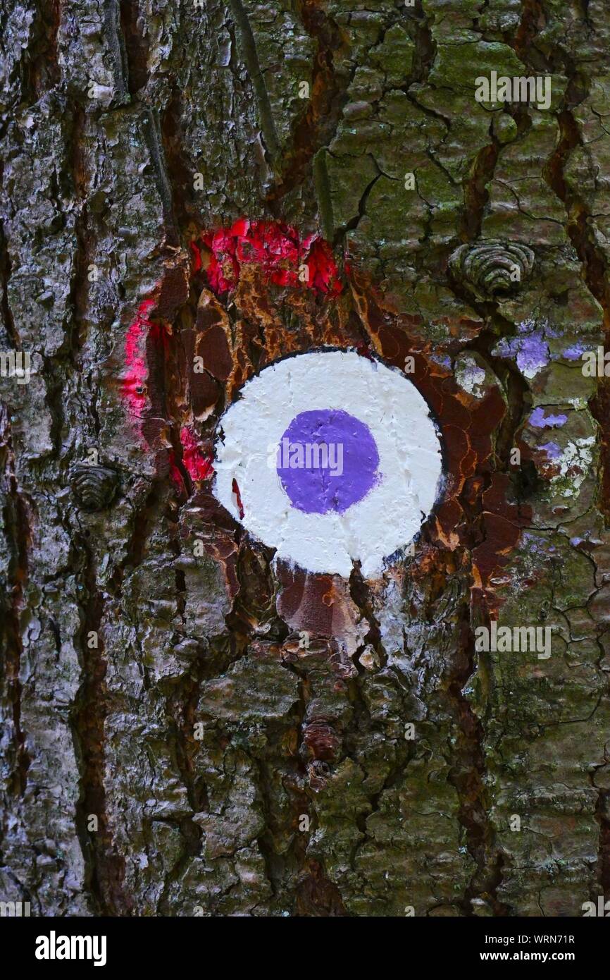 Mark Tree High Resolution Stock Photography and Images - Alamy