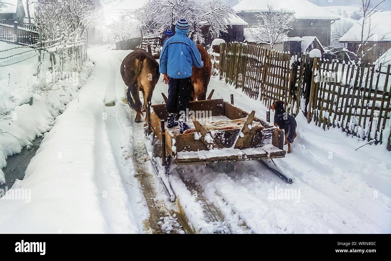 Man with ox cart hi-res stock photography and images - Alamy