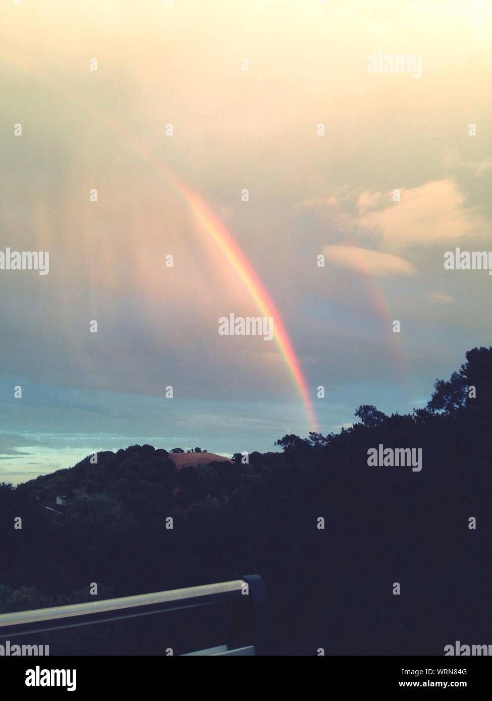 Rainbow tree house hi-res stock photography and images - Alamy