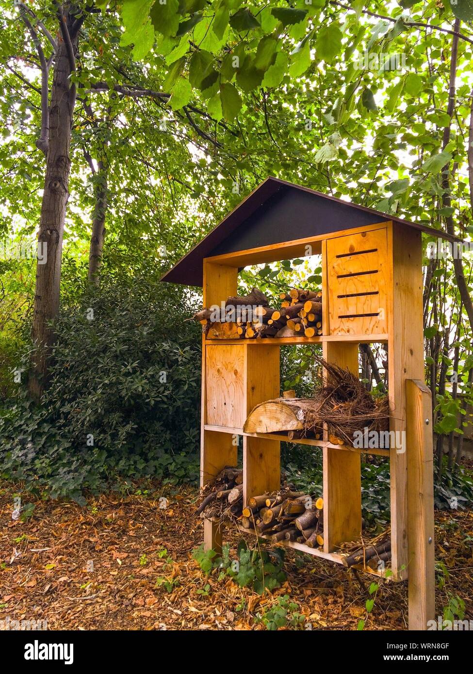 Power rack hi-res stock photography and images - Alamy