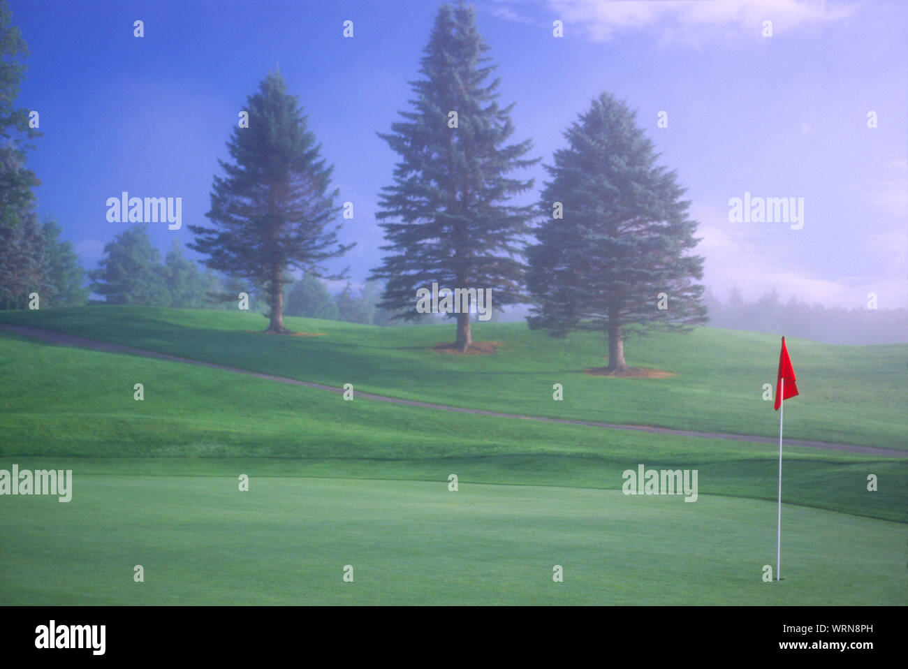 Golf course hole and green with a red flag and three trees in the early ...