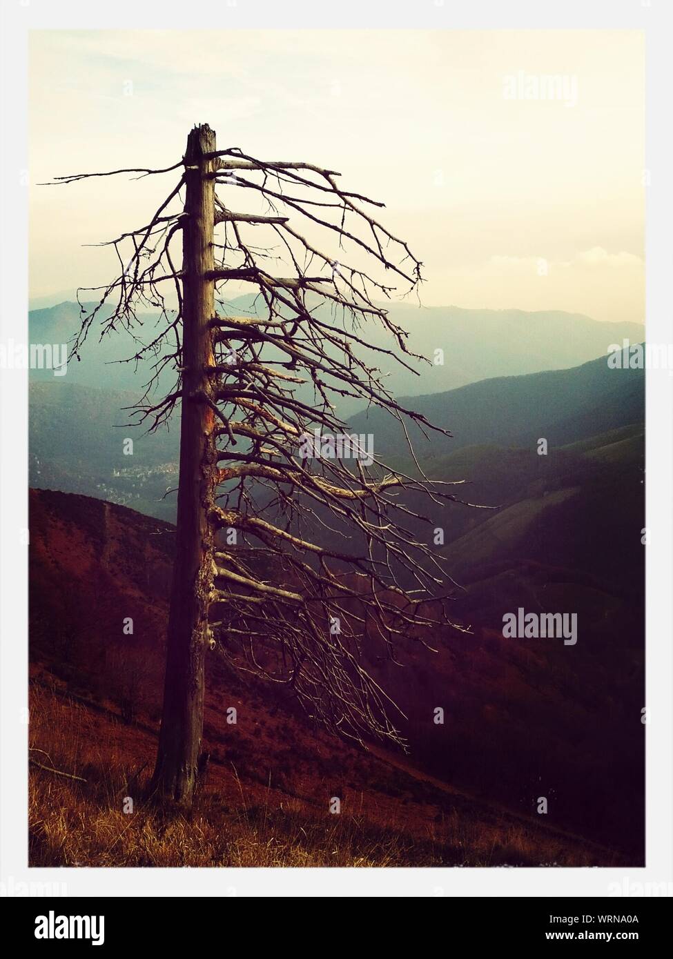 Dead mountains hi-res stock photography and images - Alamy