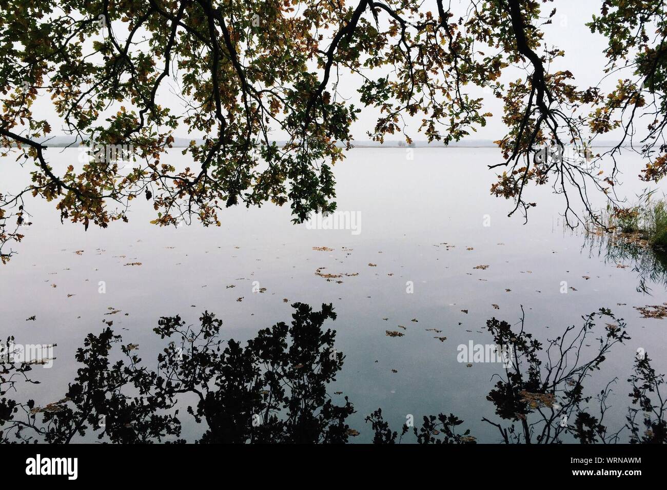 Overhanging branches or boughs hi-res stock photography and images - Alamy
