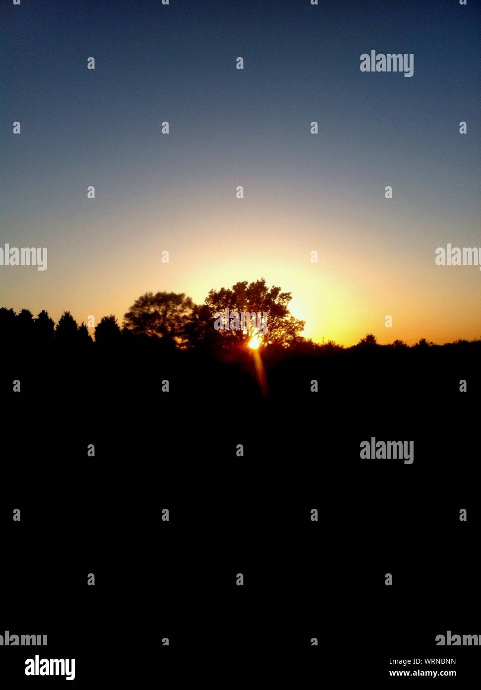 Tree back lit by the sun hi-res stock photography and images - Alamy