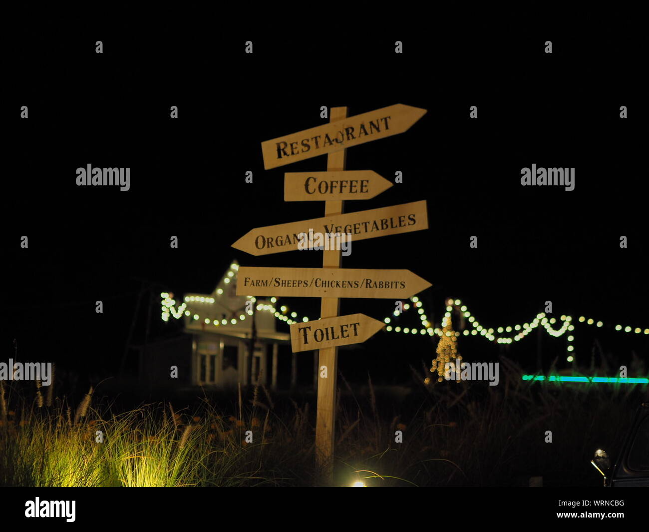 Directional Signs Against Illuminated Lights At Night Stock Photo - Alamy