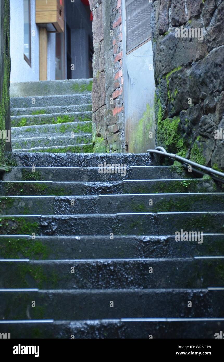Moss steps hi-res stock photography and images - Alamy