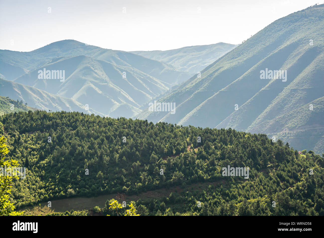 Dardhe albania hi-res stock photography and images - Alamy