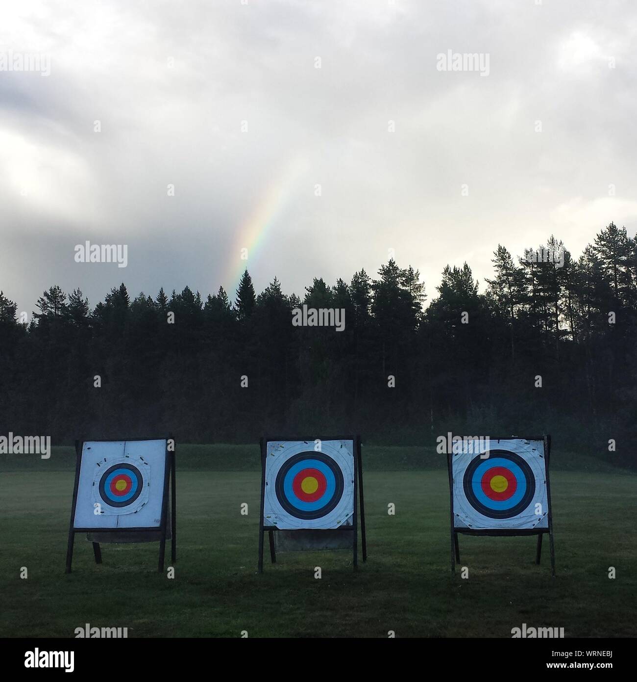 Field Archery High Resolution Stock Photography and Images - Alamy