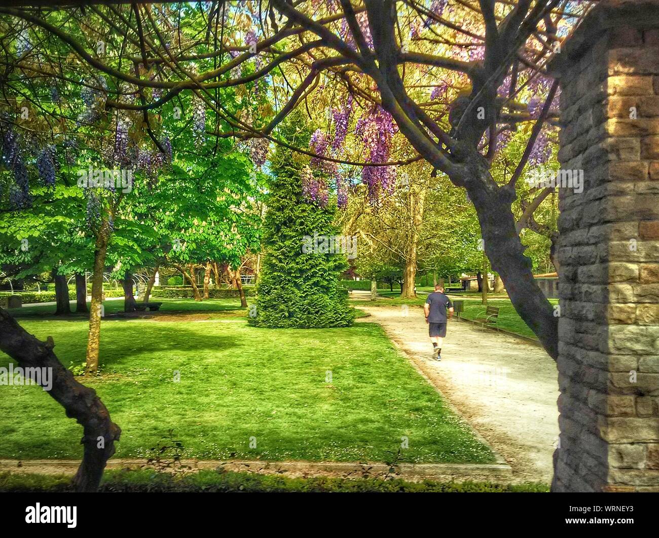 Man walking park hi-res stock photography and images - Alamy