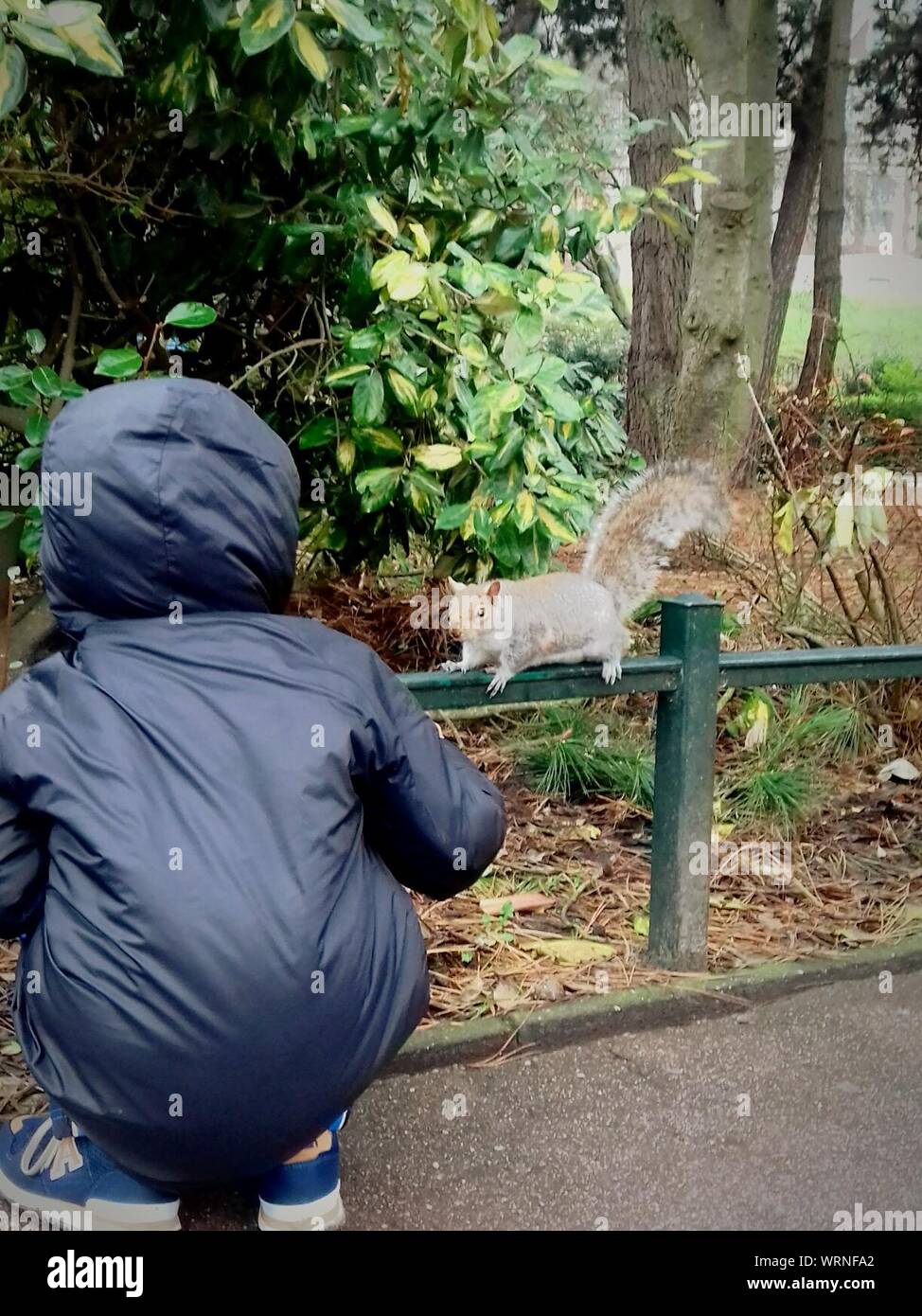 Crouching in garden hi-res stock photography and images - Alamy