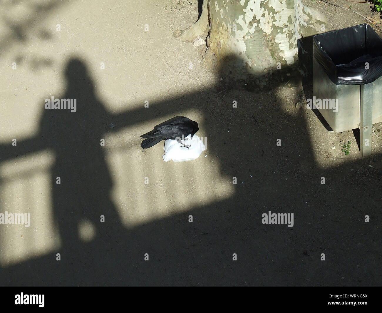 Raven street hi-res stock photography and images - Alamy