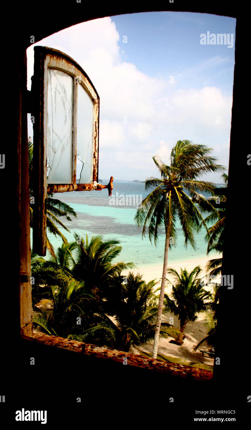 Damaged palm trees hi-res stock photography and images - Alamy