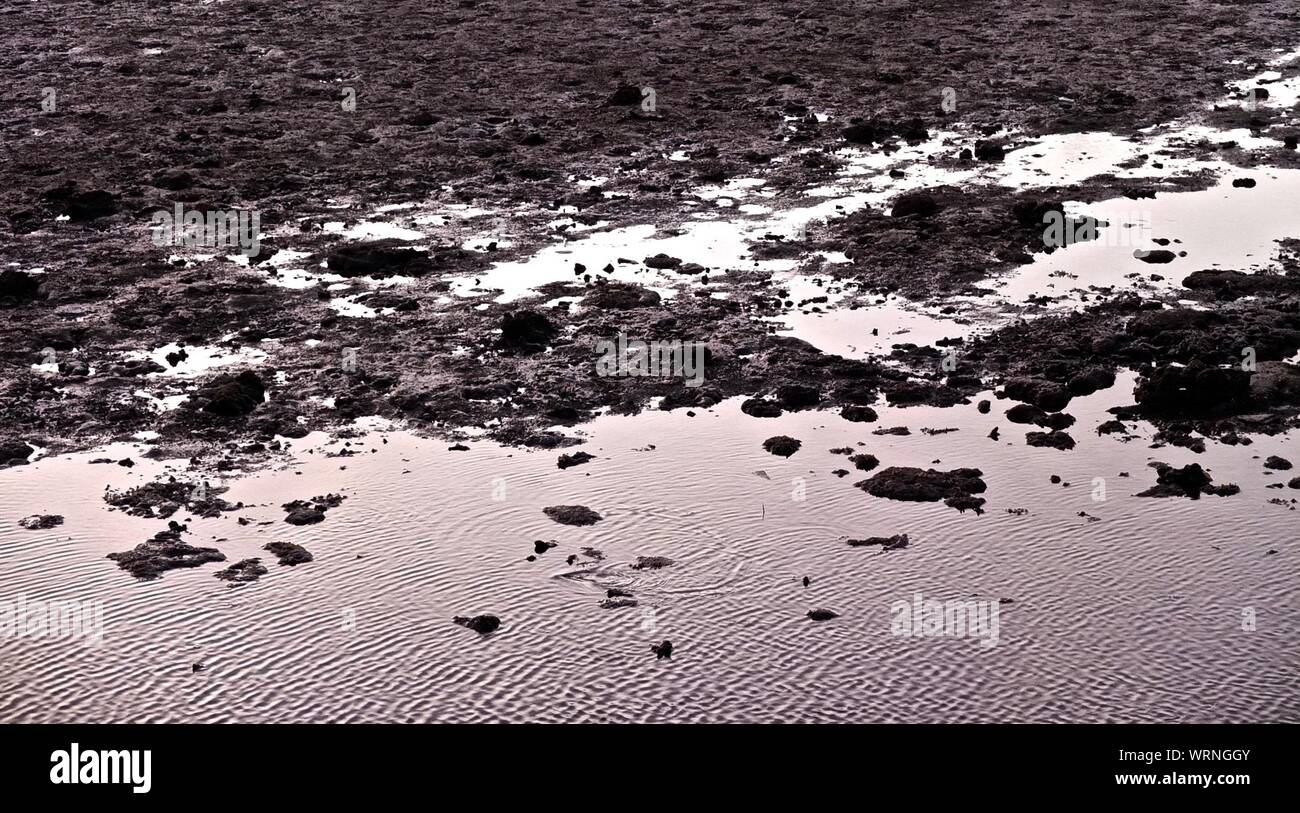 Muddy shore hi-res stock photography and images - Alamy