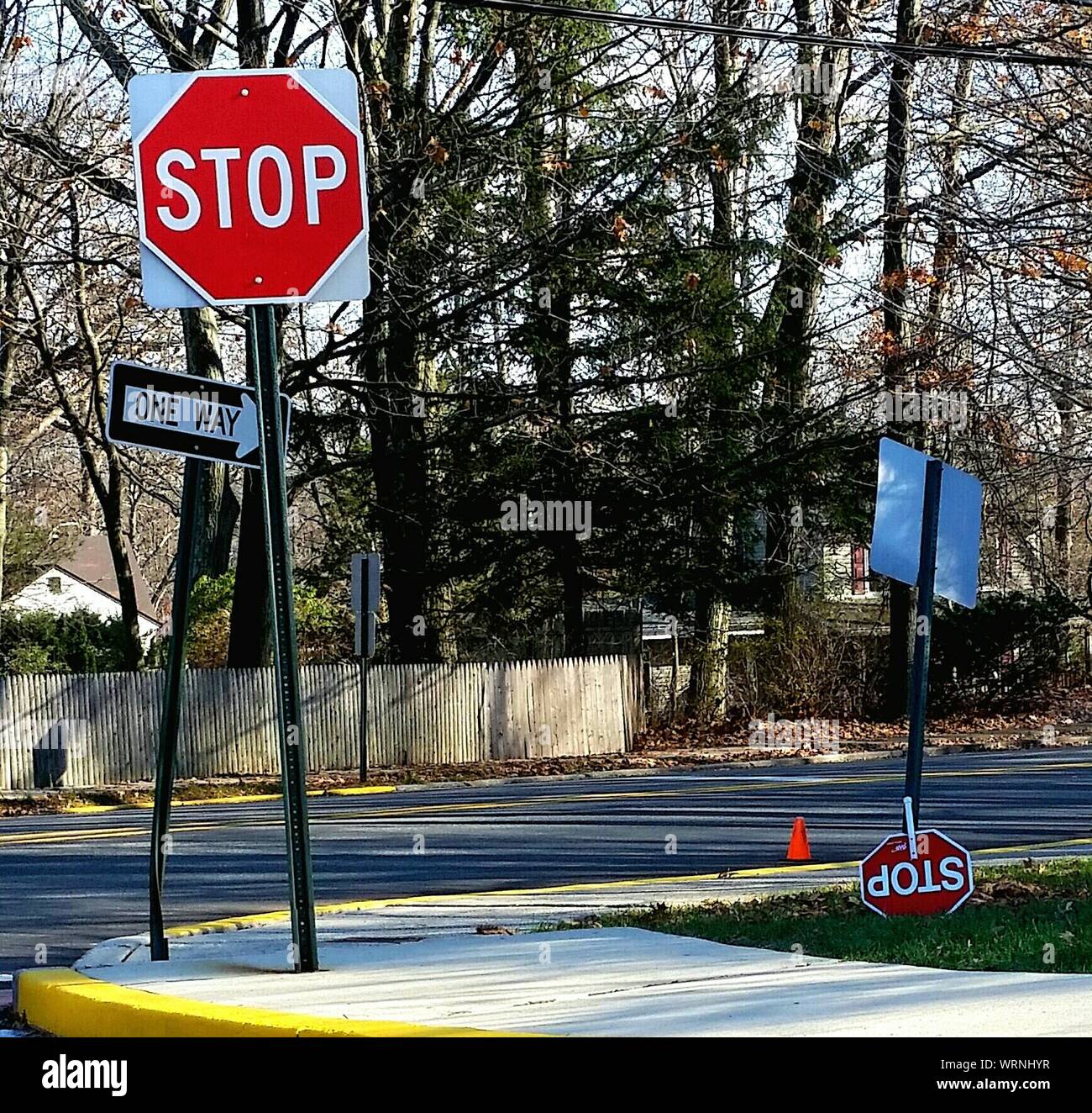 Stop sign trees street hi-res stock photography and images - Alamy