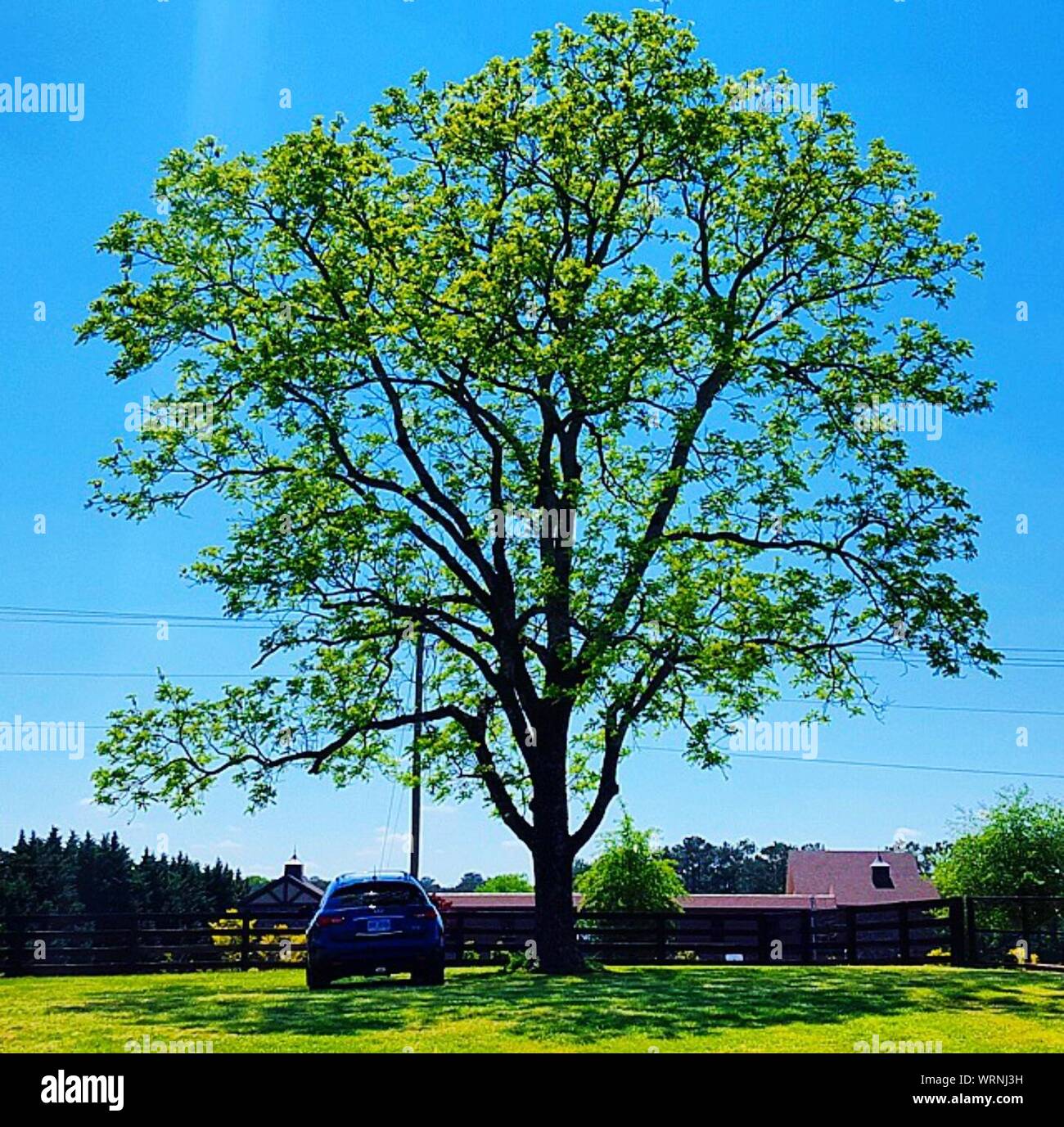 Car parked under hi-res stock photography and images - Alamy