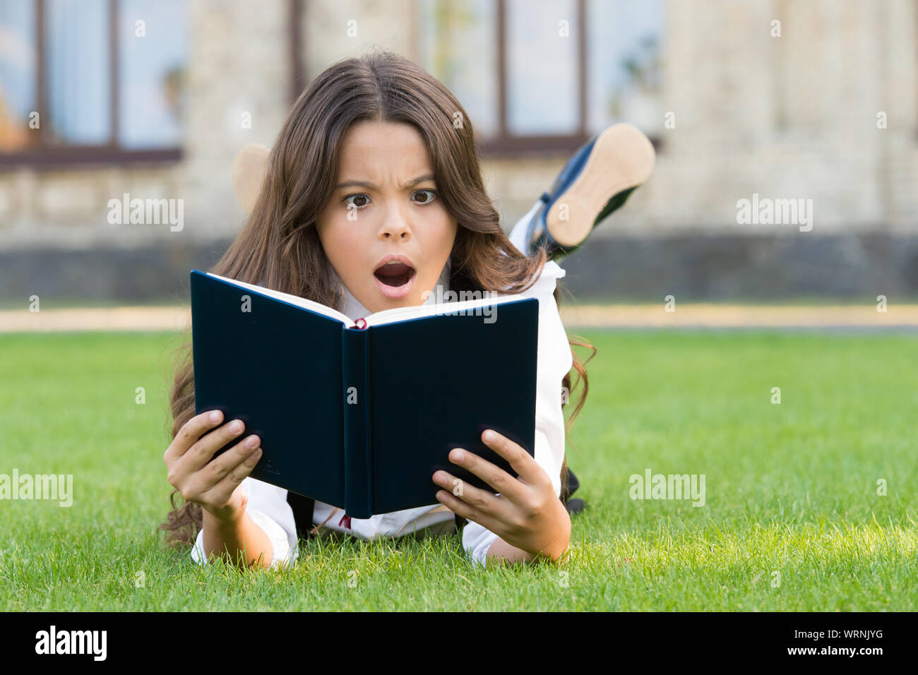 Extracurricular reading. Cute small child reading book outdoors. Basic ...