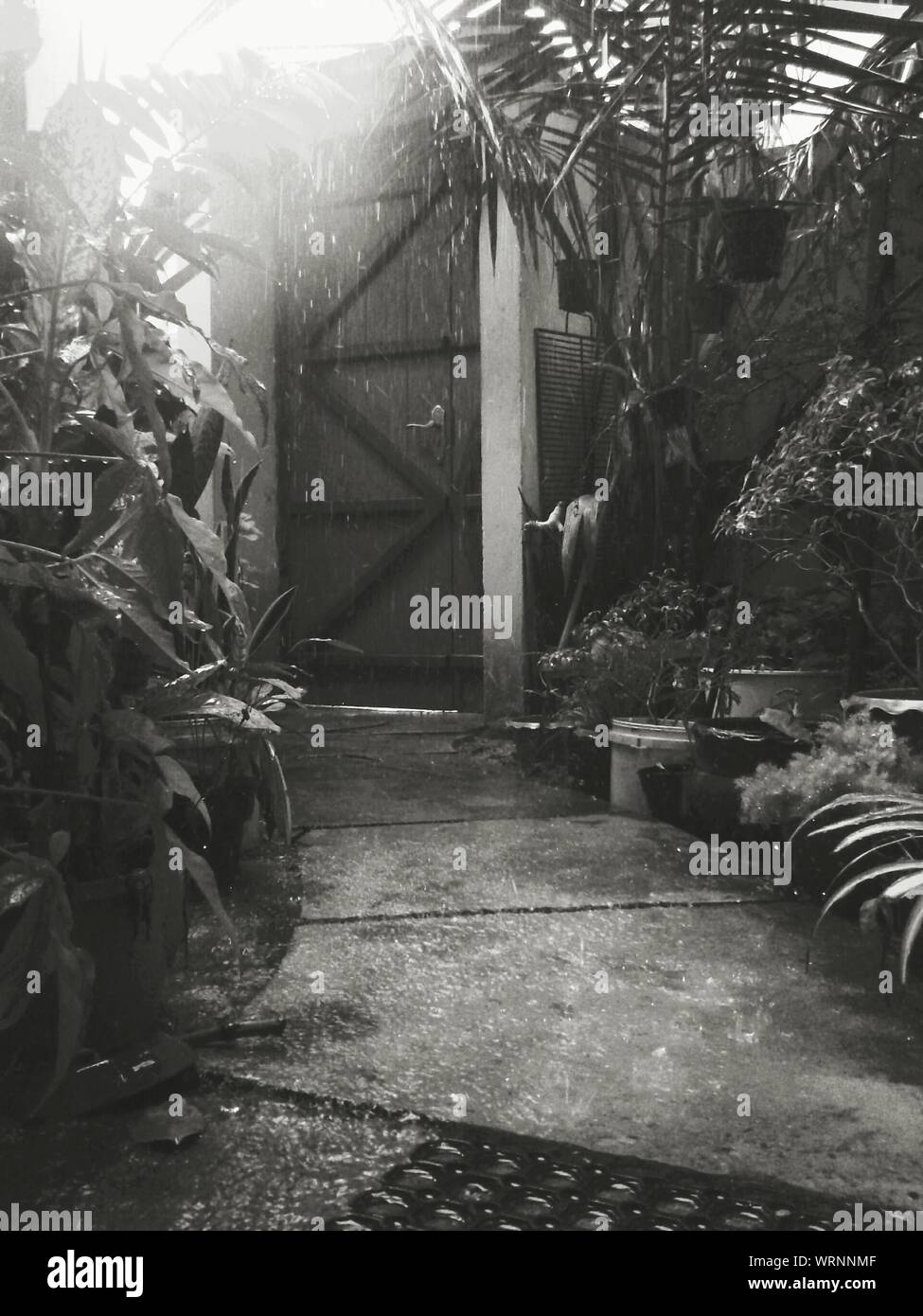 Yard rain hi-res stock photography and images - Alamy