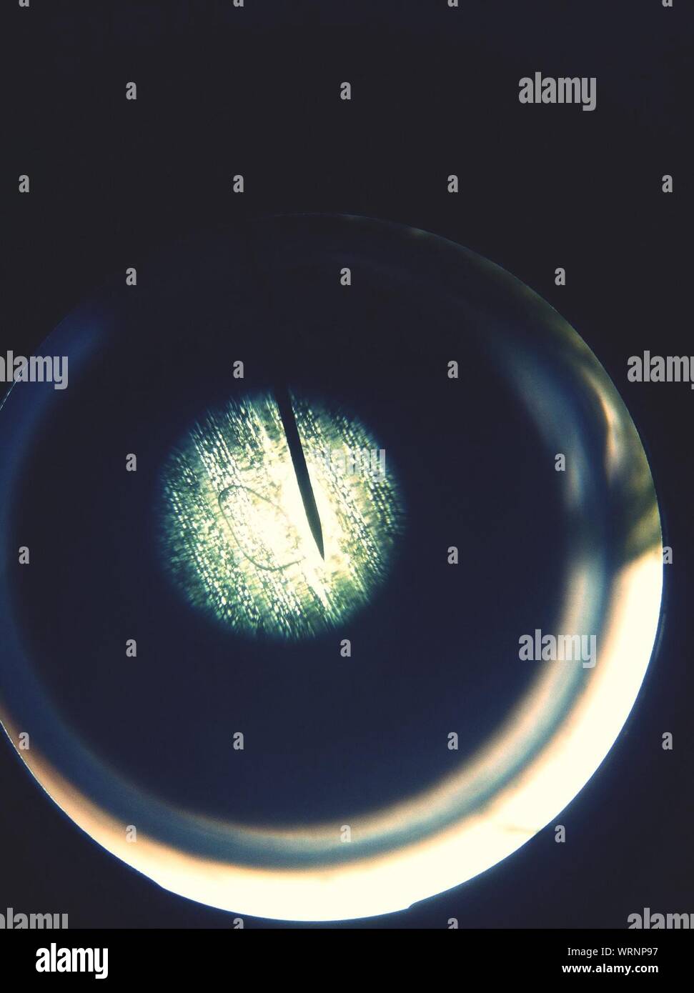 Micro look hi-res stock photography and images - Alamy