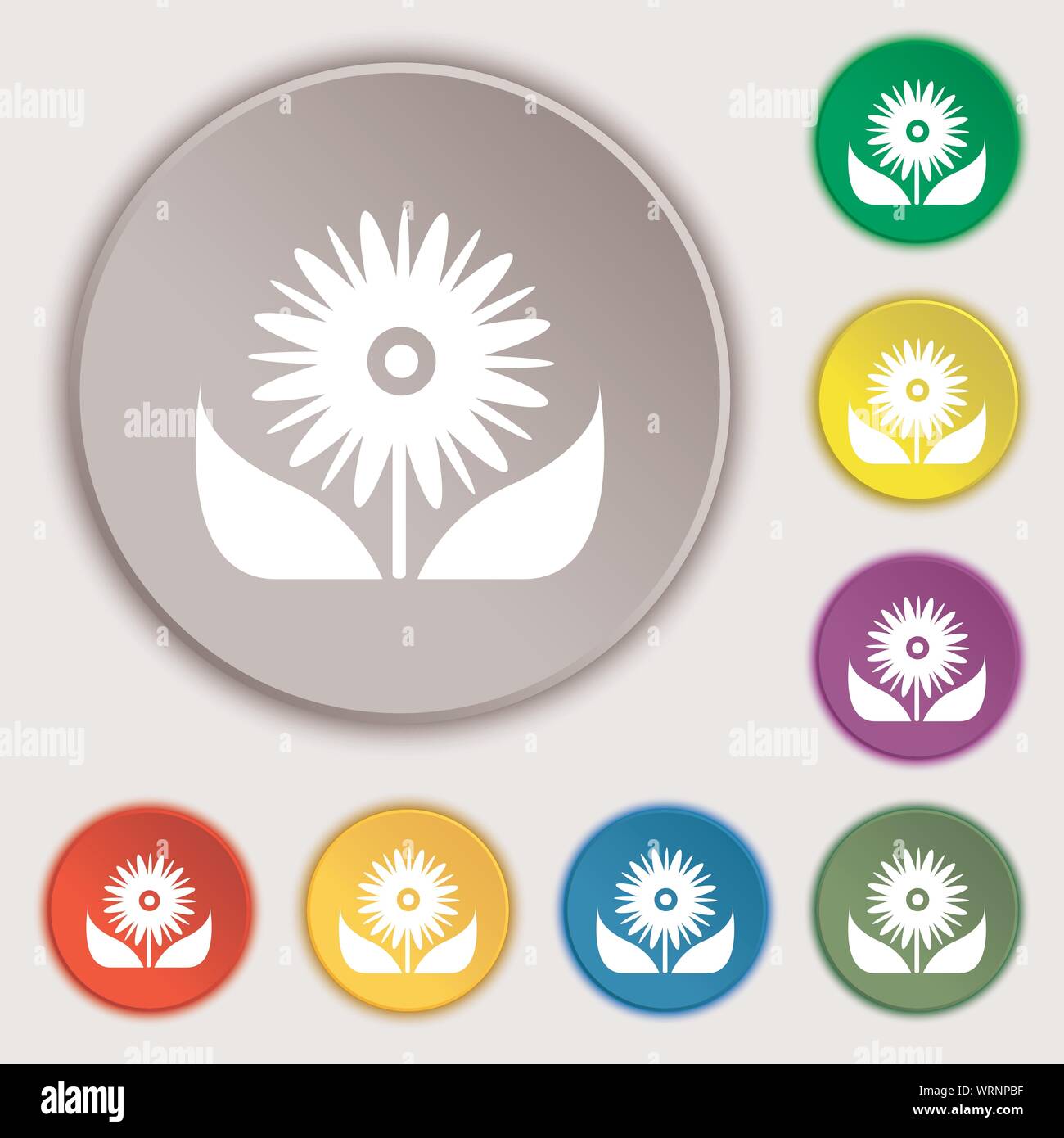 Bouquet of flowers with petals icon sign. Symbols on eight flat buttons ...