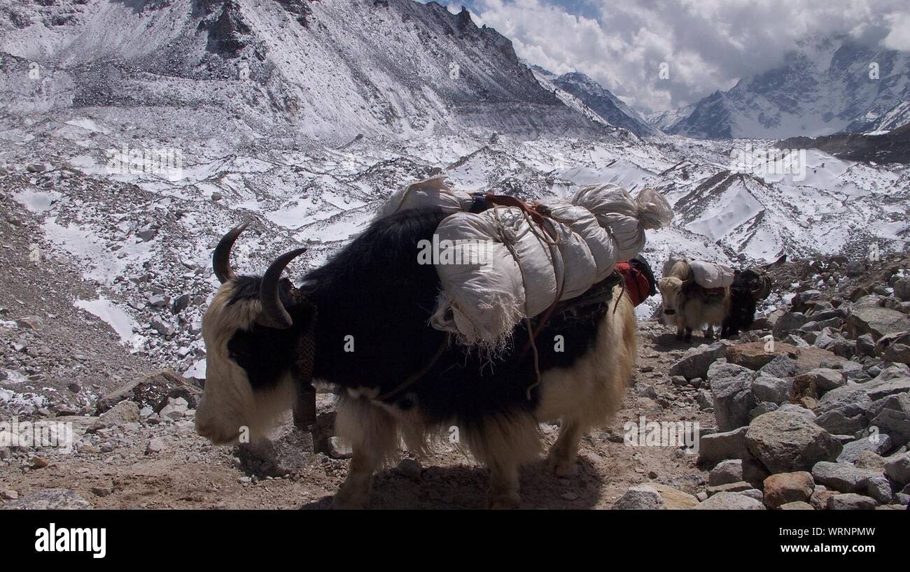 Loading Rocks High Resolution Stock Photography and Images - Alamy