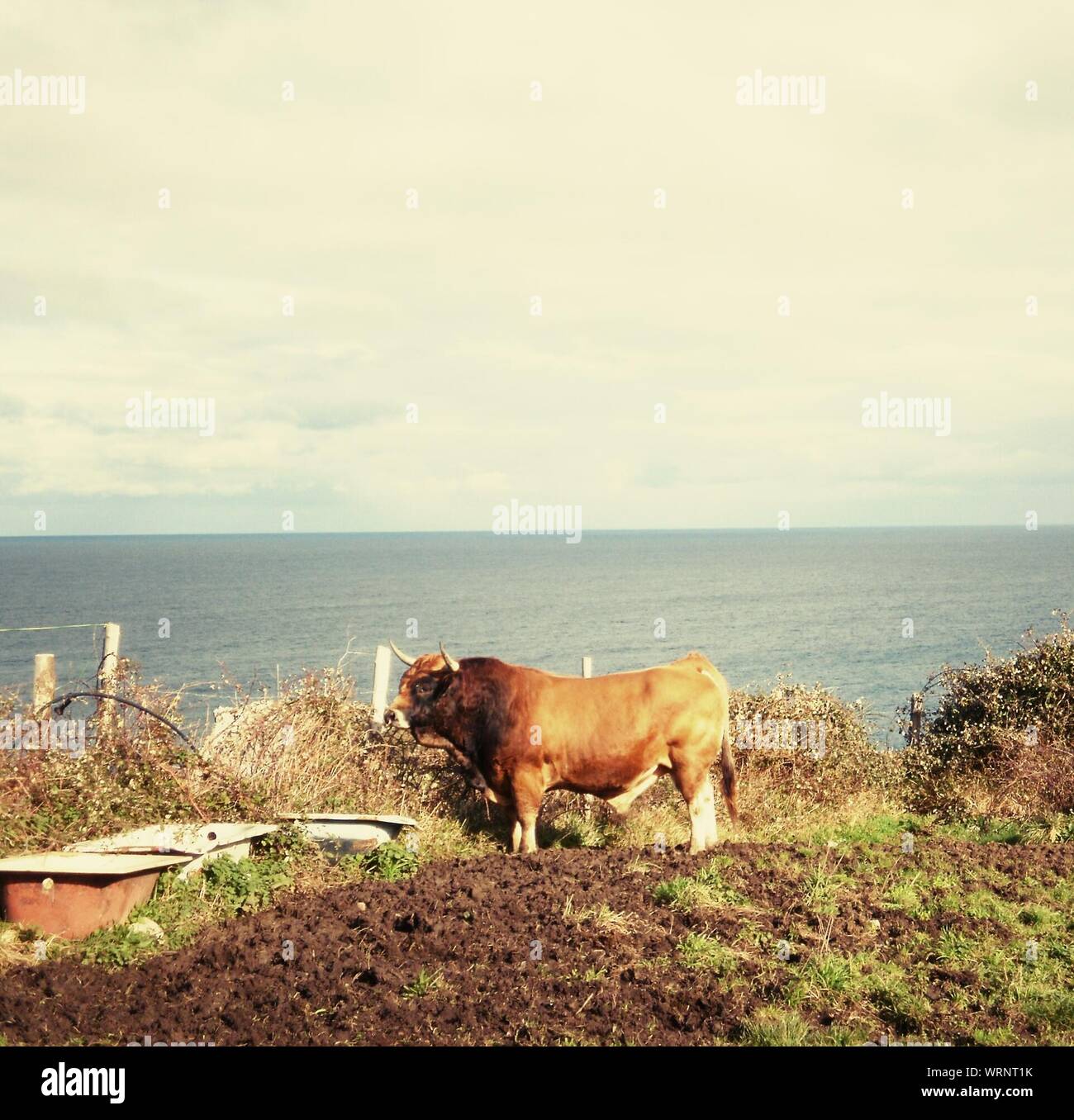 Sea farm hi-res stock photography and images - Alamy