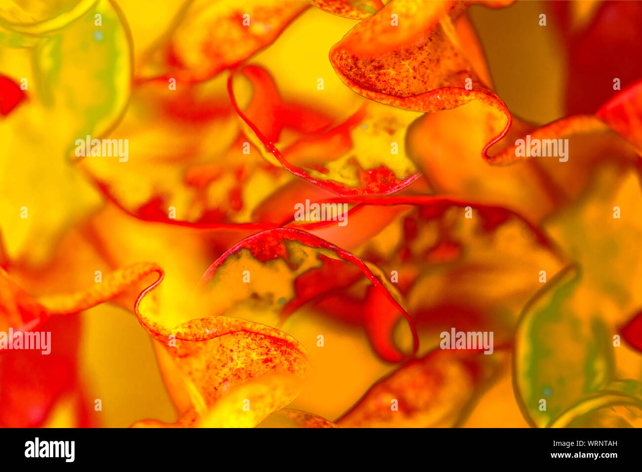 Colorful abstract background overlay texture wallpaper design Stock ...