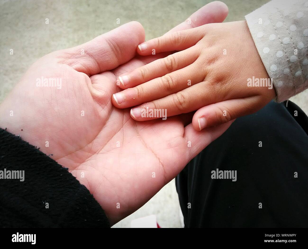 Child palm hi-res stock photography and images - Alamy