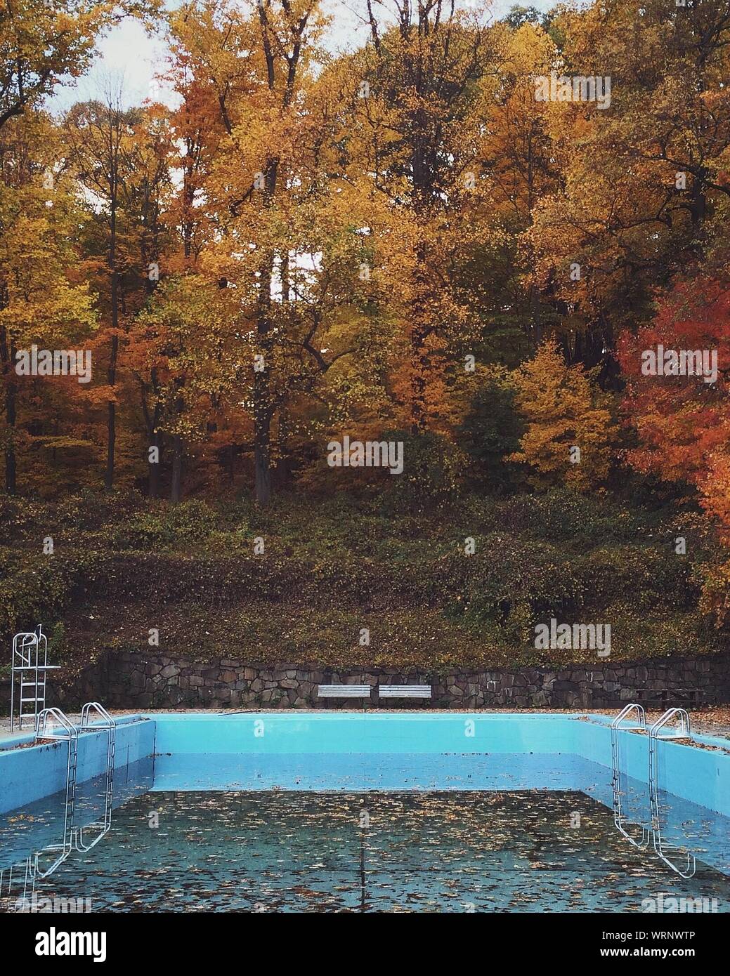 Dirty pool hi-res stock photography and images - Alamy