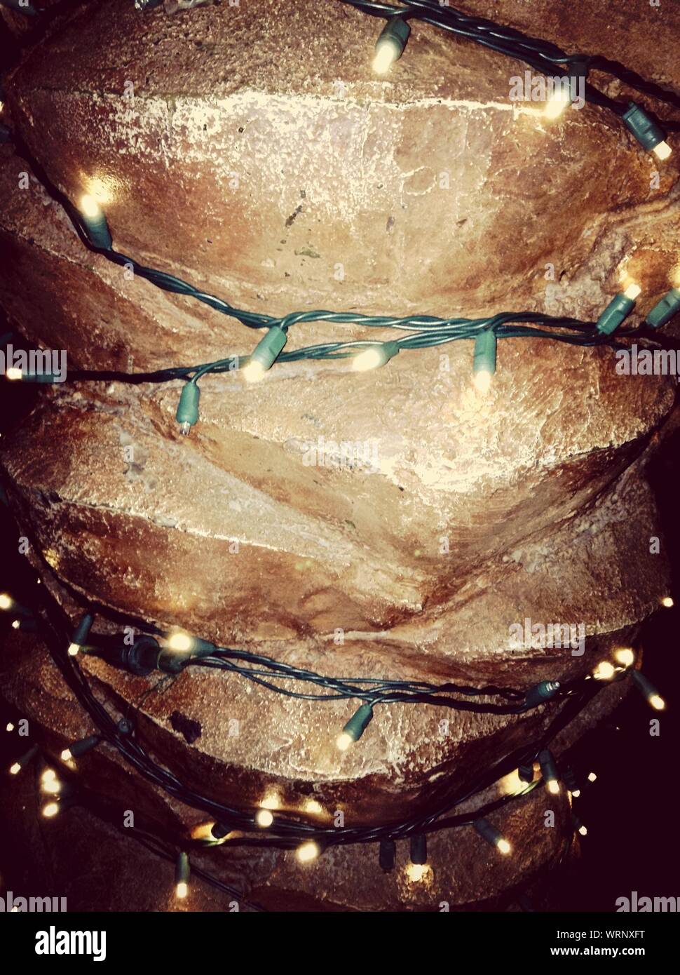 Electric palm tree hi-res stock photography and images - Alamy