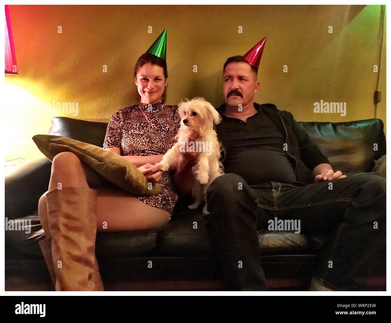 Couple dog sofa not seniot Cut Out Stock Images & Pictures - Alamy
