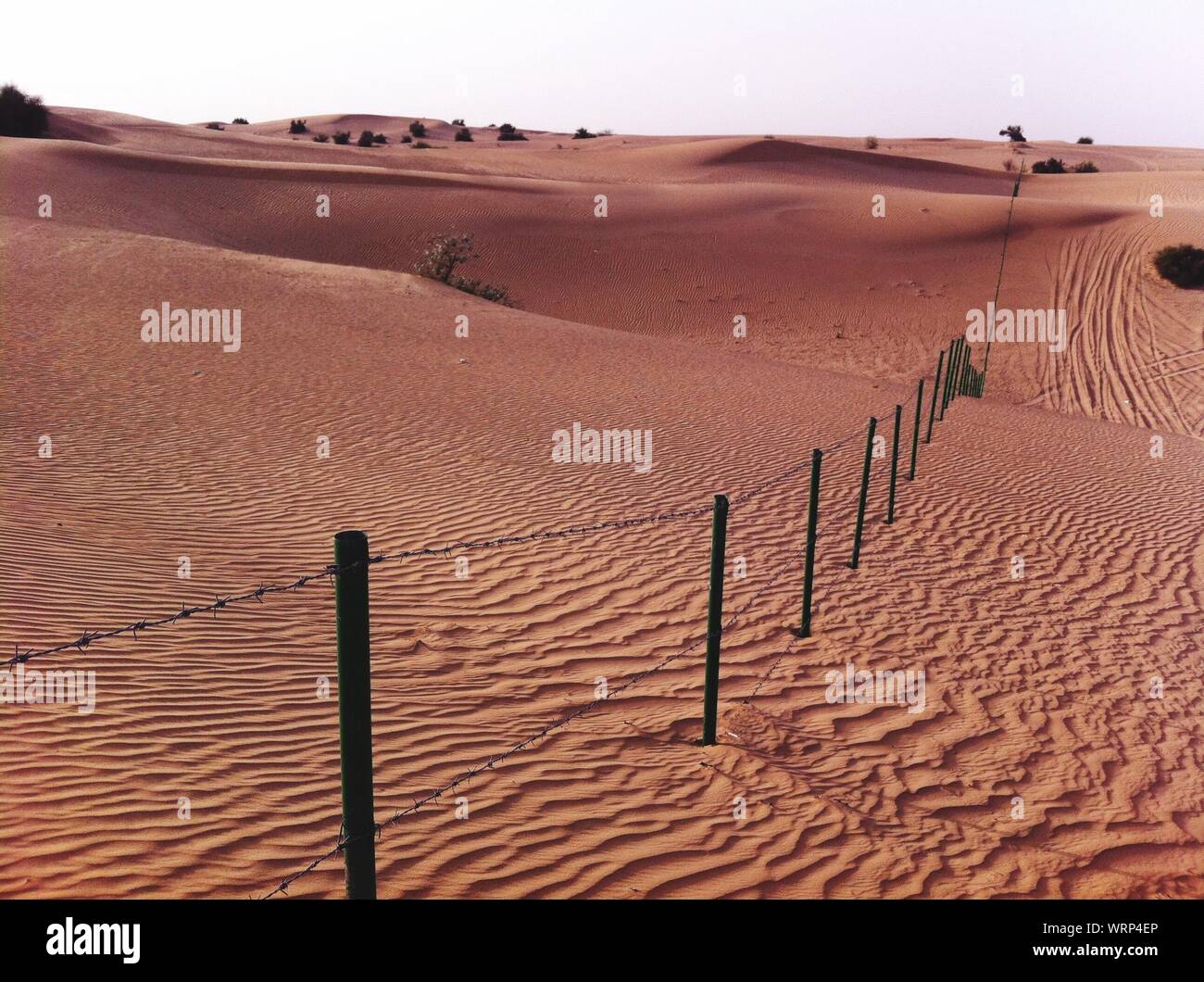 Natural protection desert hi-res stock photography and images - Alamy