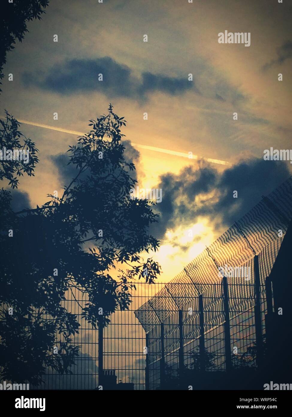 See through boundary fence hi-res stock photography and images - Alamy