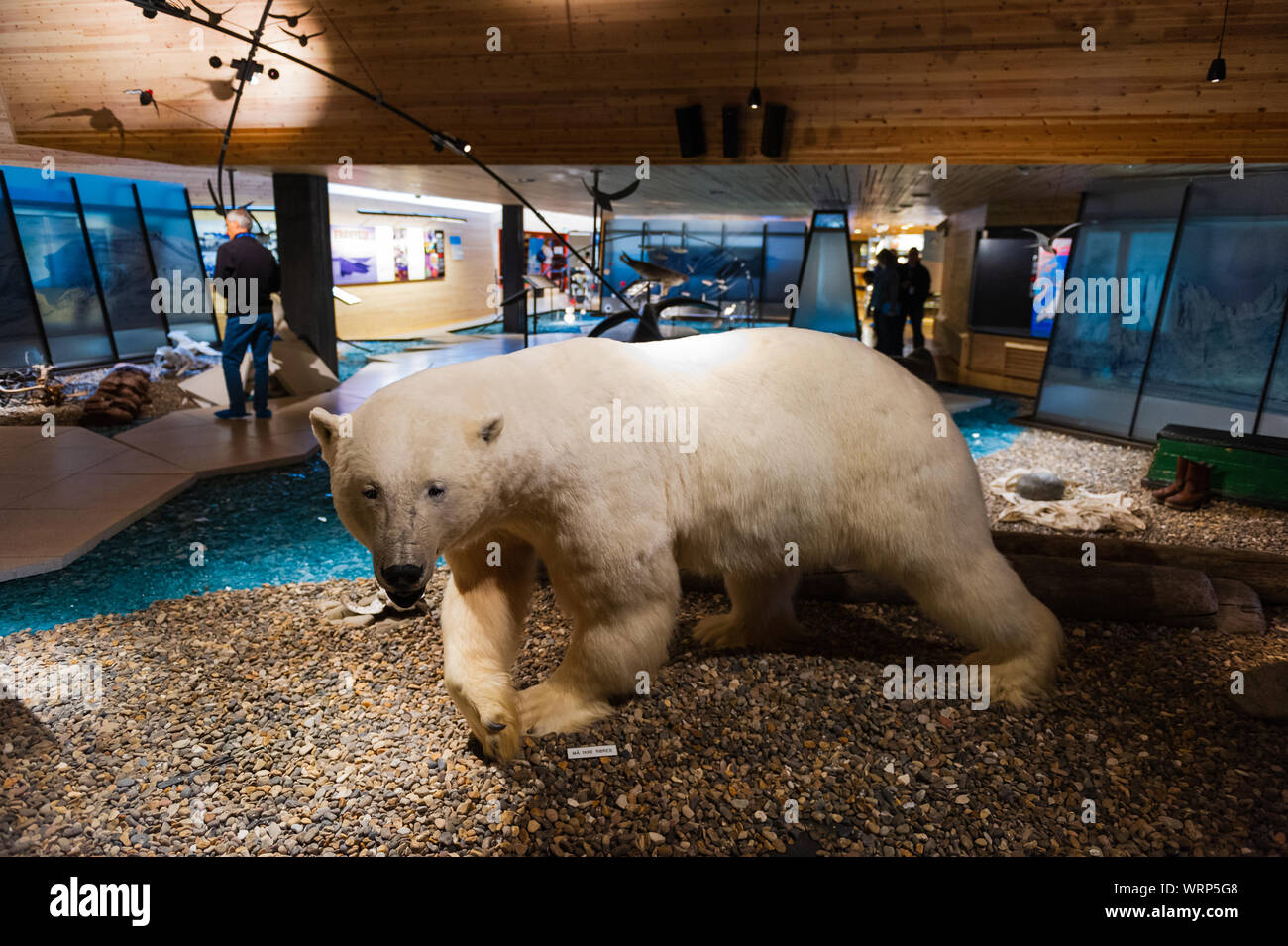 Longyearbyen, Norway - July 25. View of the interior of the Svalbard Museum in Longyearbyen ...