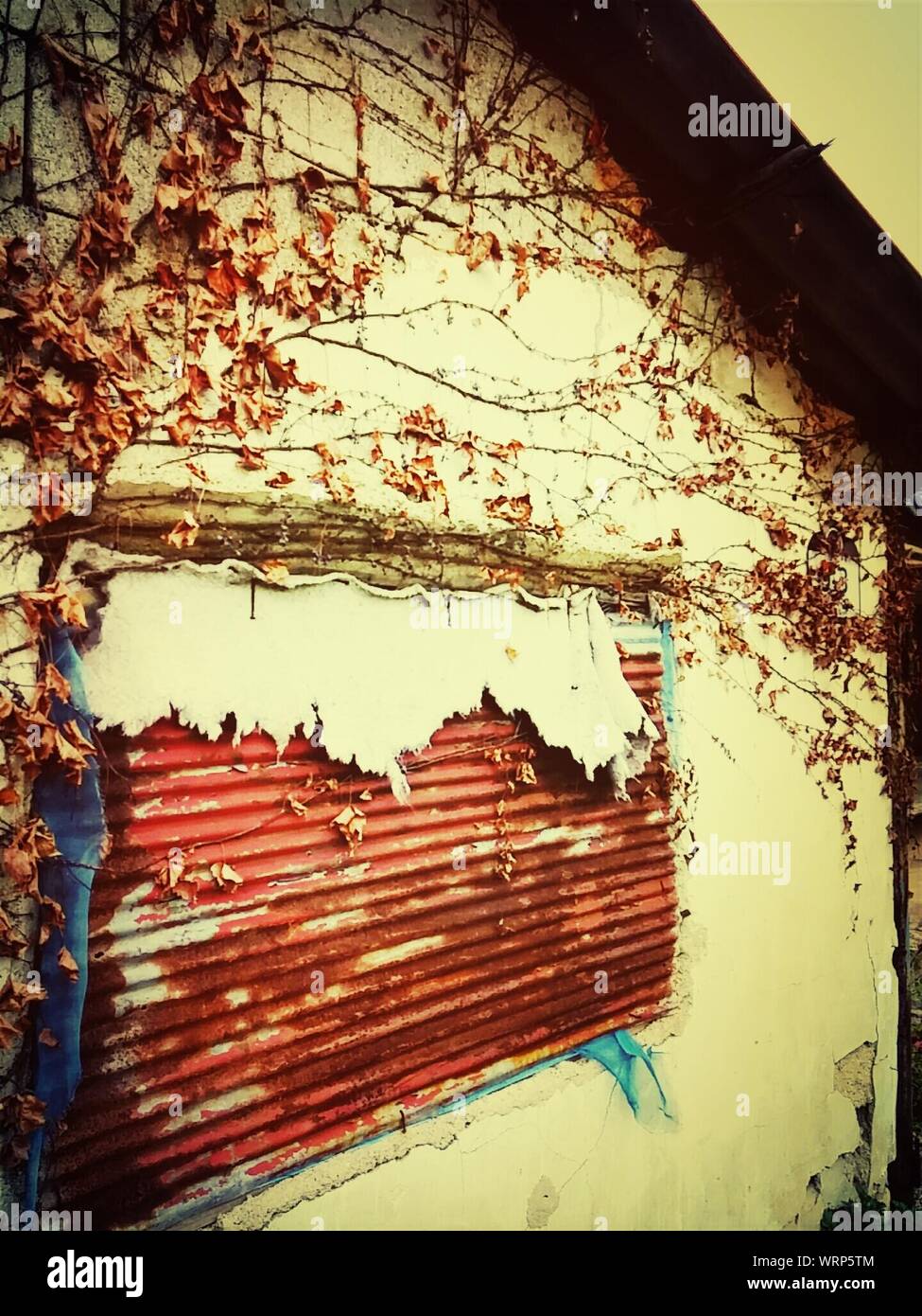 Boarded up house hi-res stock photography and images - Alamy