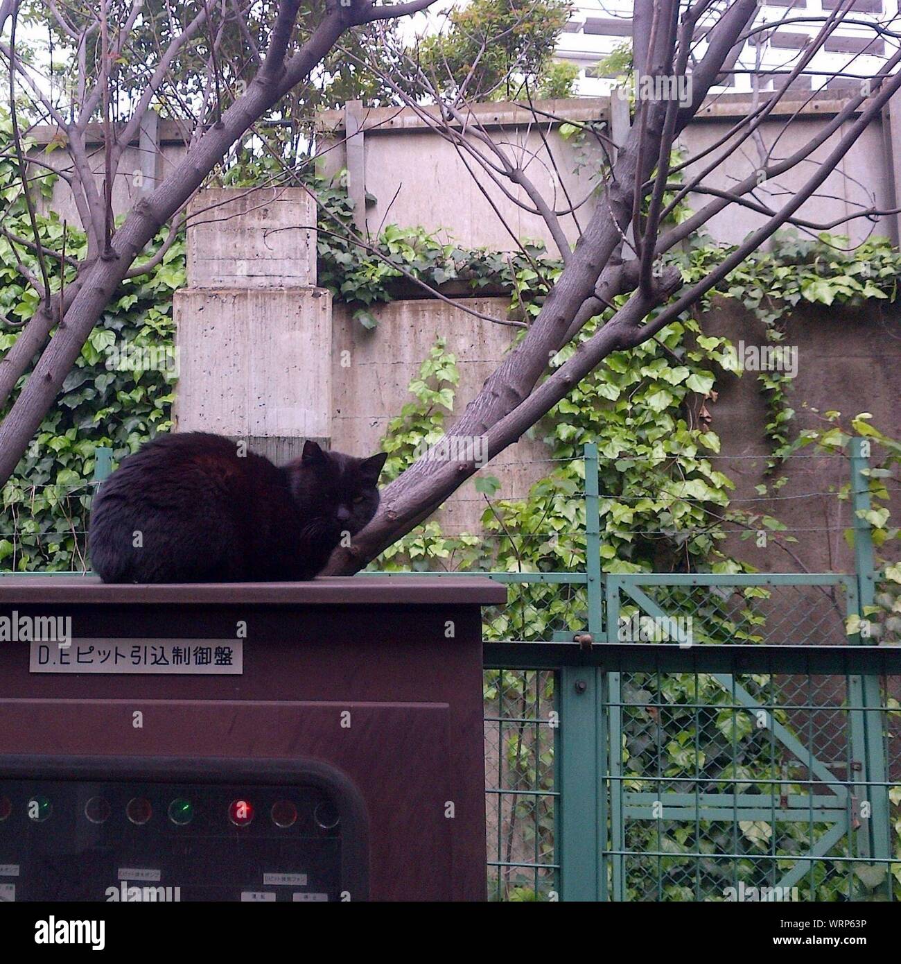 Wood fuse box hi-res stock photography and images - Alamy