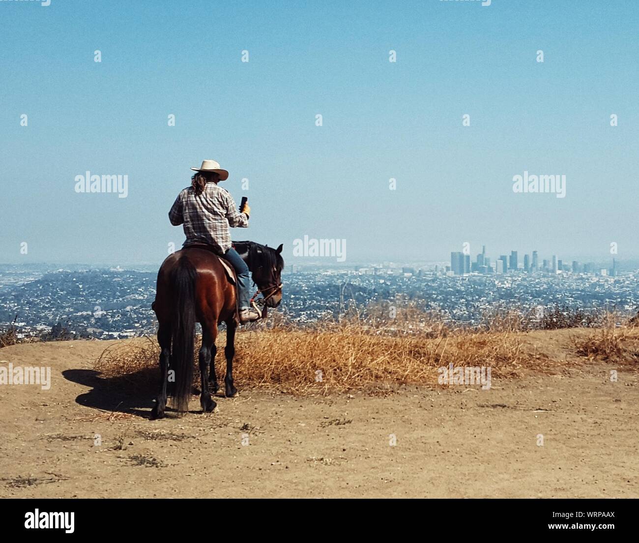 Cowboy on horse cattle hi-res stock photography and images - Alamy