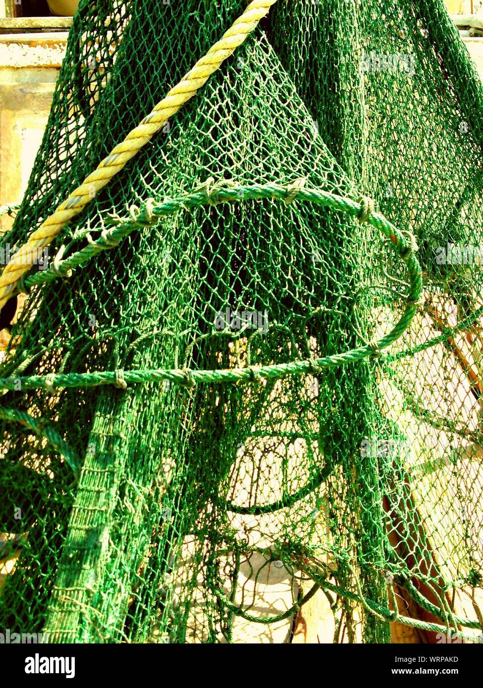 Green fishing hi-res stock photography and images - Alamy