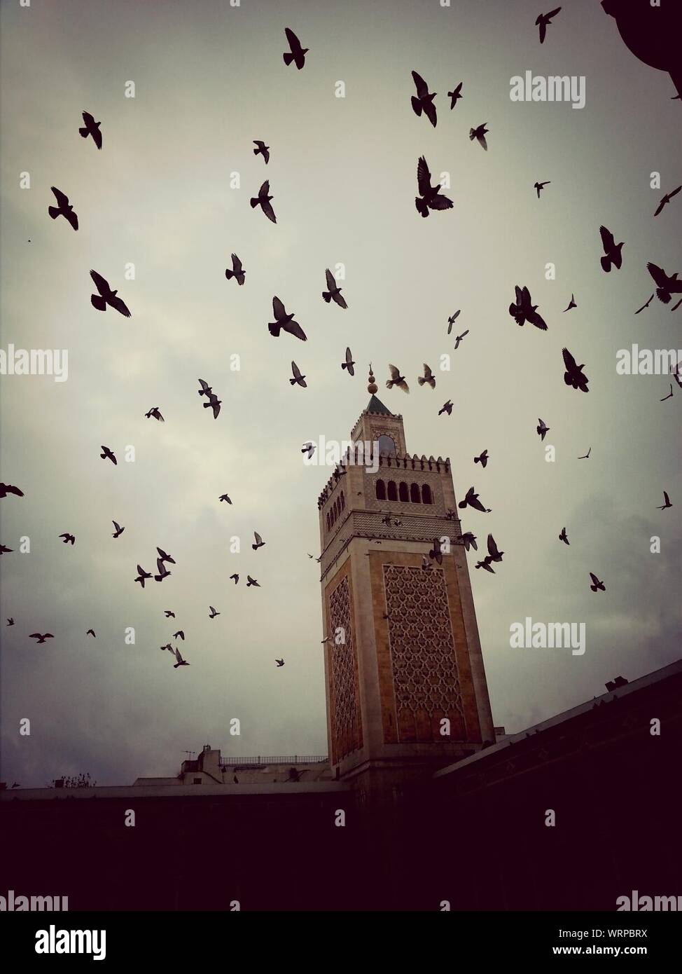 Sky tower flying hi-res stock photography and images - Alamy