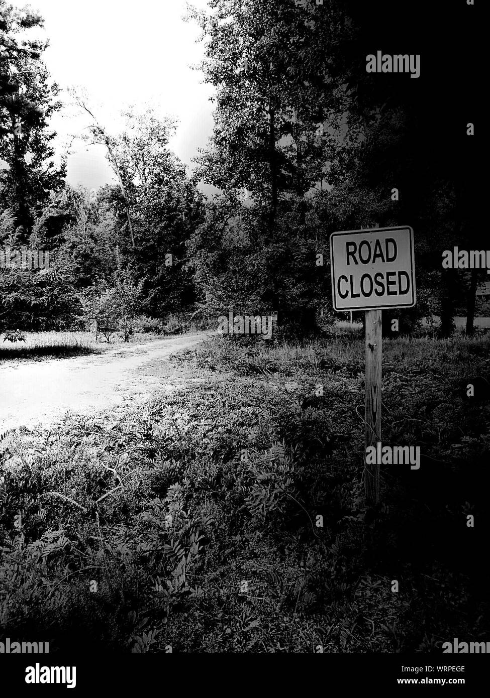 Leading sign hi-res stock photography and images - Alamy