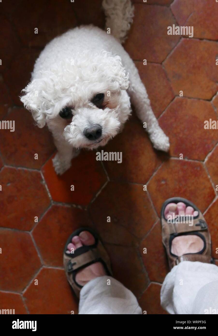 Foot in front of camera hi-res stock photography and images - Alamy