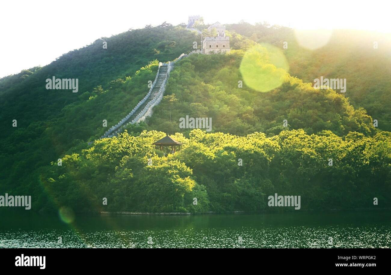 Great green wall china trees hi-res stock photography and images - Alamy