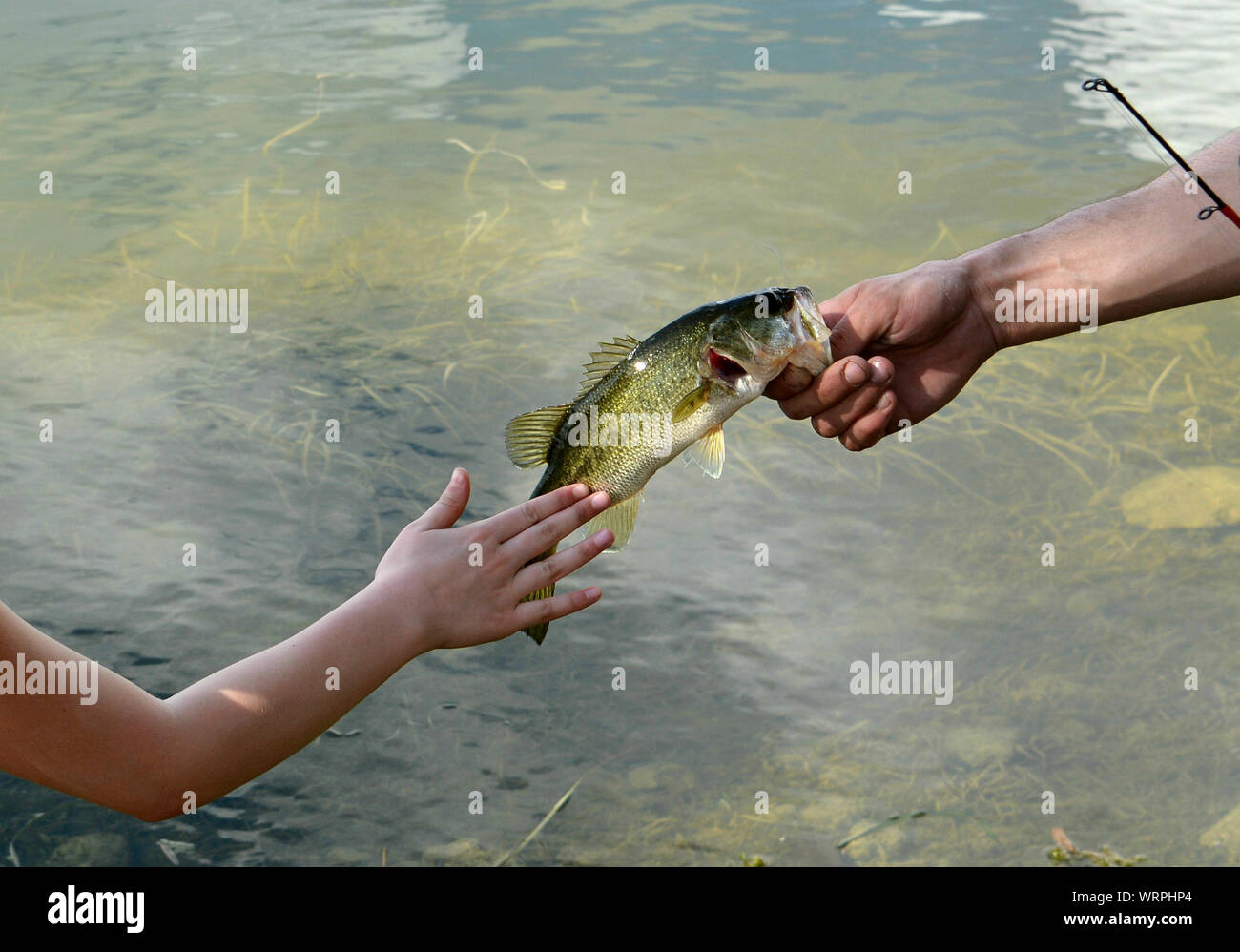 Two hands catch hi-res stock photography and images - Alamy
